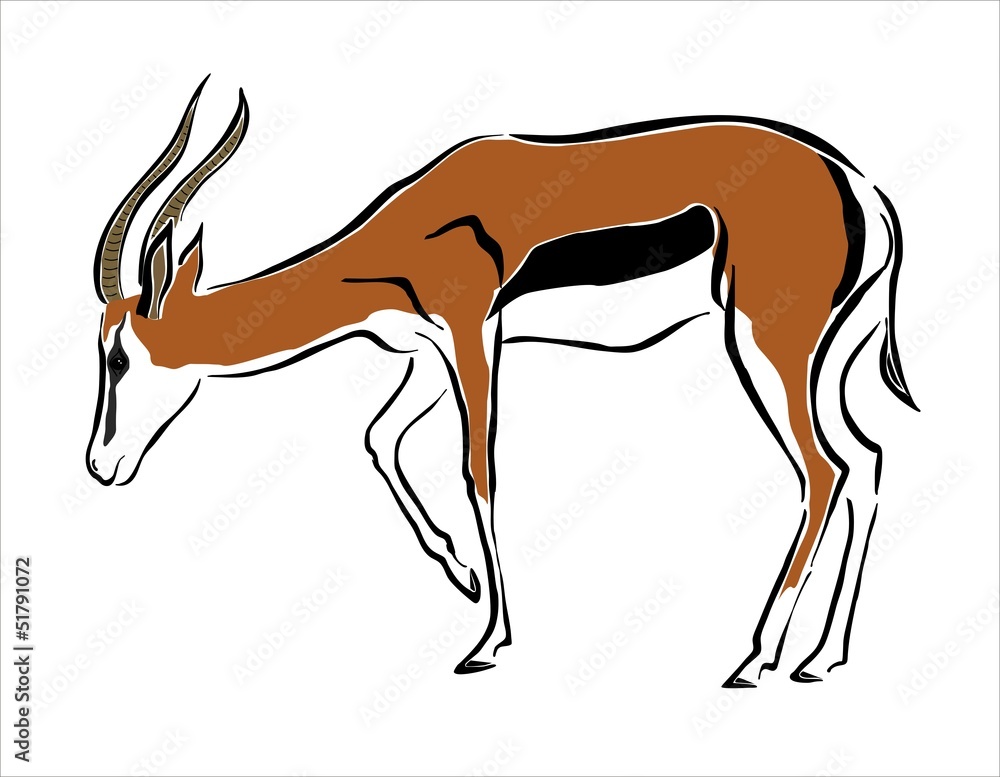 dibujo de una gacela vector de Stock | Adobe Stock