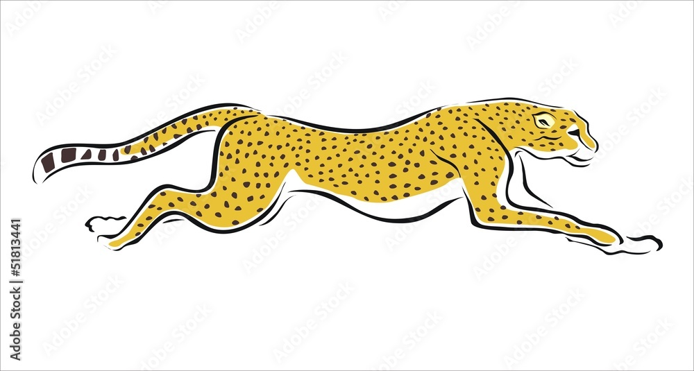 guepardo corriendo Stock Vector | Adobe Stock