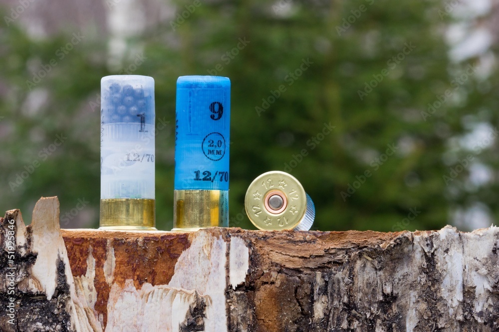 Hunting cartridges for shotgun Stock Photo | Adobe Stock