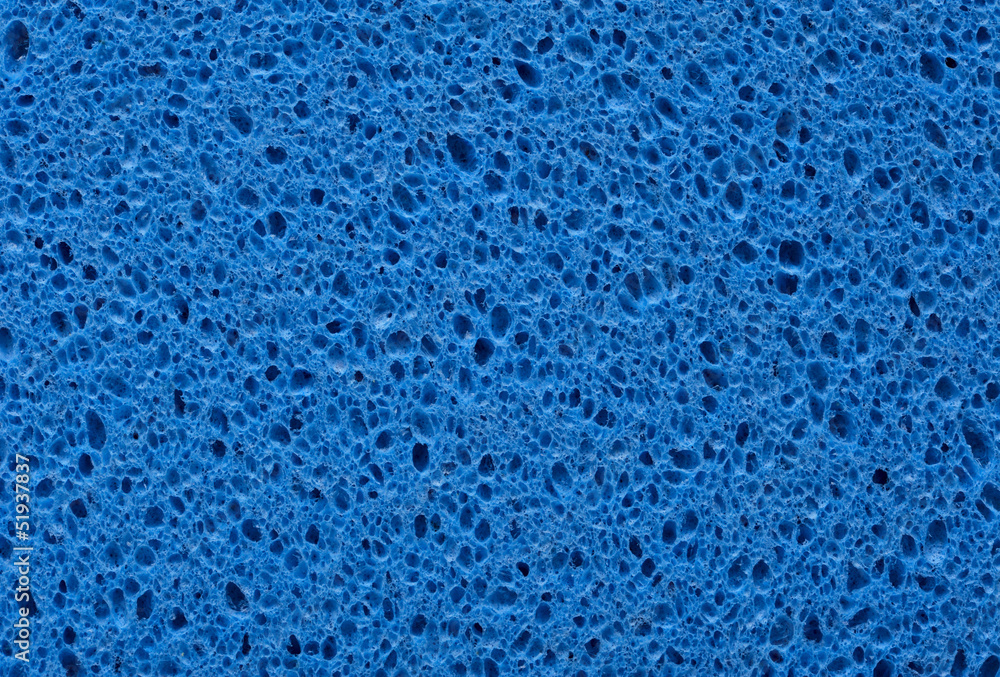 blue sponge with porous texture background Stock Photo | Adobe Stock