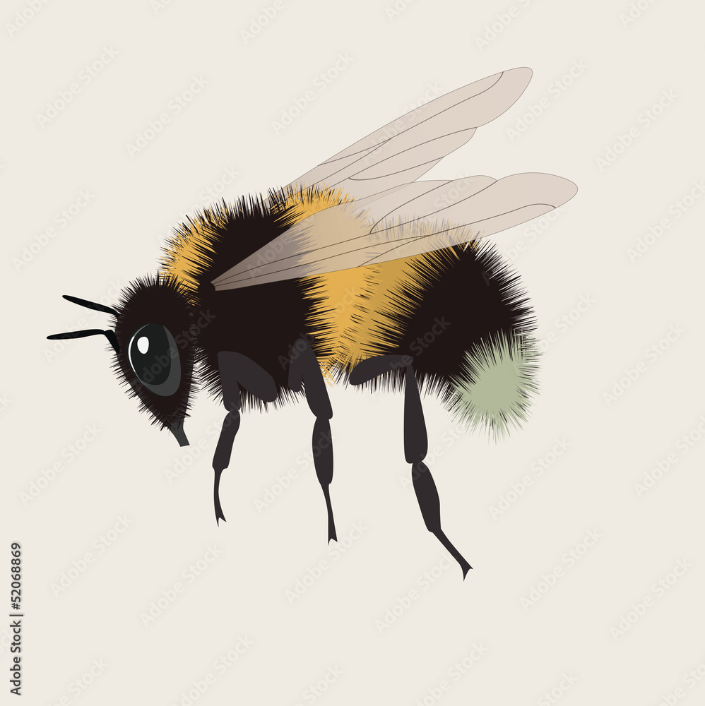 Bumble Bee Vector