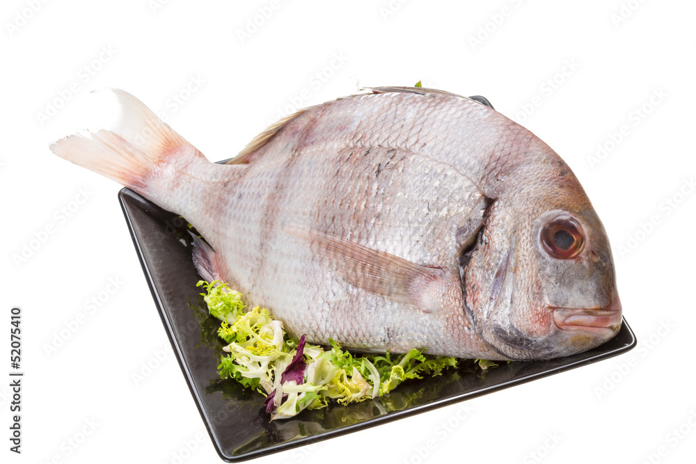 Foto Stock Raw porgy | Adobe Stock
