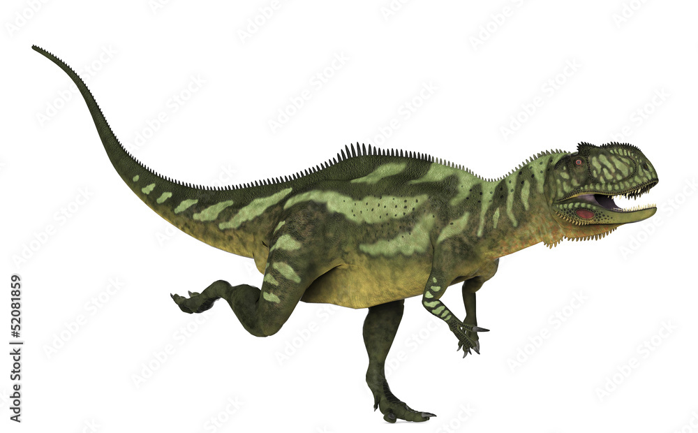 Yangchuanosaurus running side view Stock Illustration | Adobe Stock