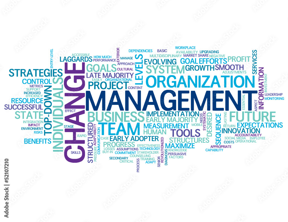 "CHANGE MANAGEMENT" Tag Cloud (smart lean process improvement) Stock ...