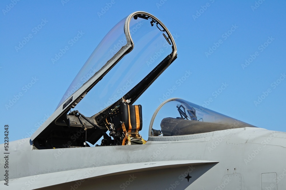 F-18 hornet fighter plane canopy © Arena Photo UK Stock Photo | Adobe Stock