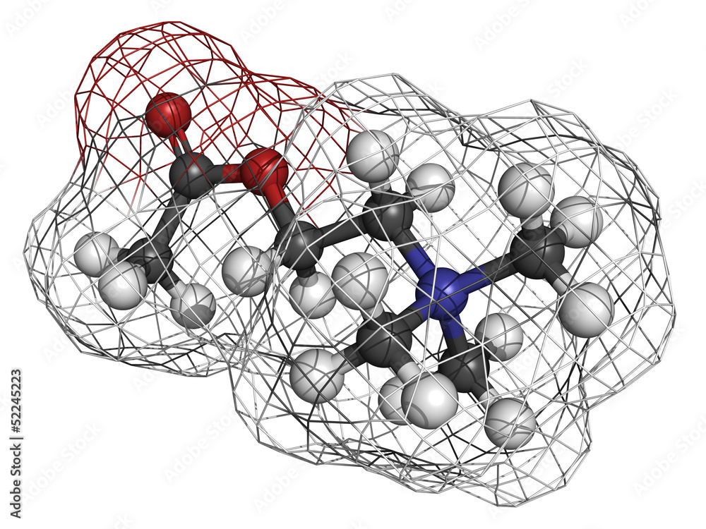 Acetylcholine (ACh) neurotransmitter, molecular model. Stock ...