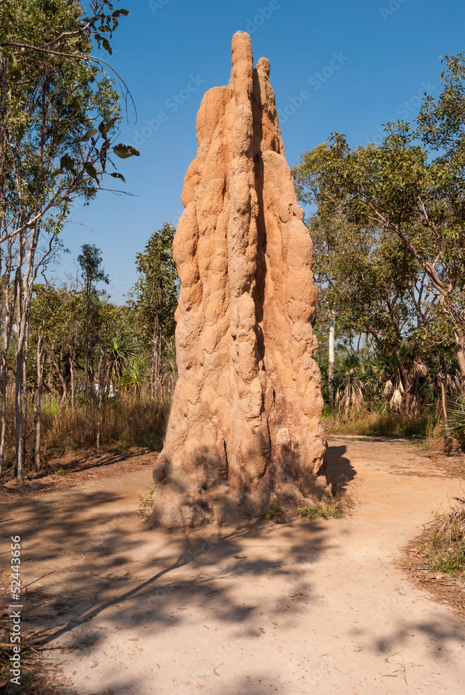Magnetic termite mounds, Litchfield Natonal Park, Australia Stock Photo ...