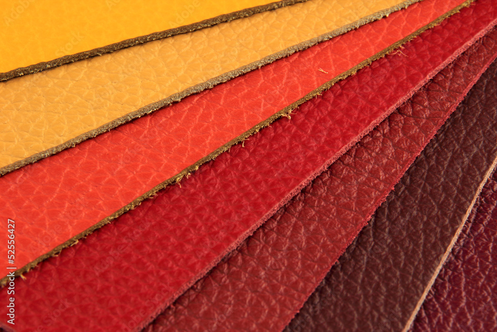 Color palette sample picker of leather material Stock Photo | Adobe Stock