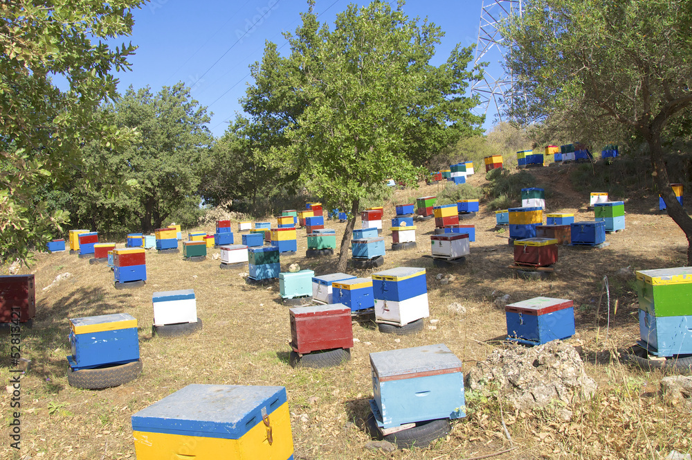 Beekeeping in Crete. Wooden hives on tyres in a landscape between the ...