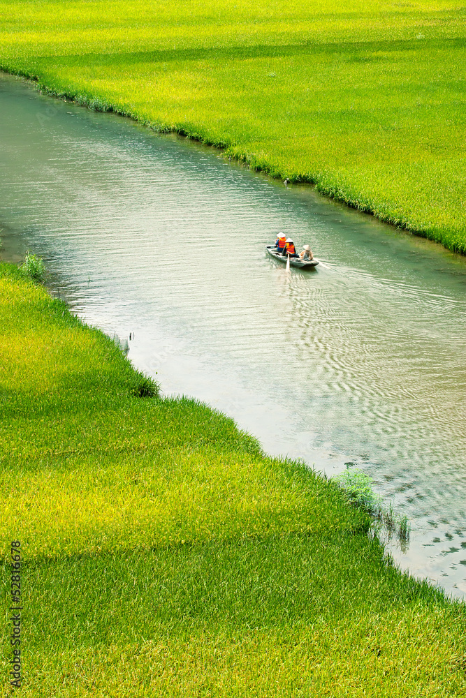 Rice field and river, NinhBinh, vietnam landscapes Stock Photo | Adobe ...