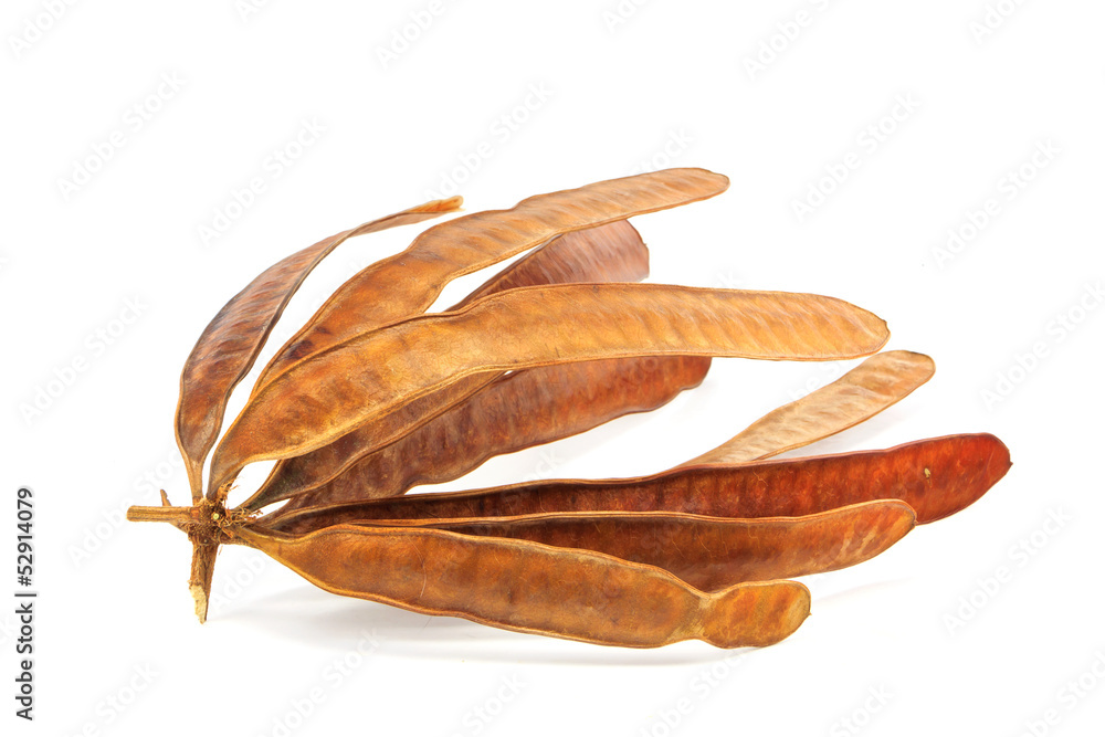 Leucaena leucocephala isolated on white background Stock Photo | Adobe ...
