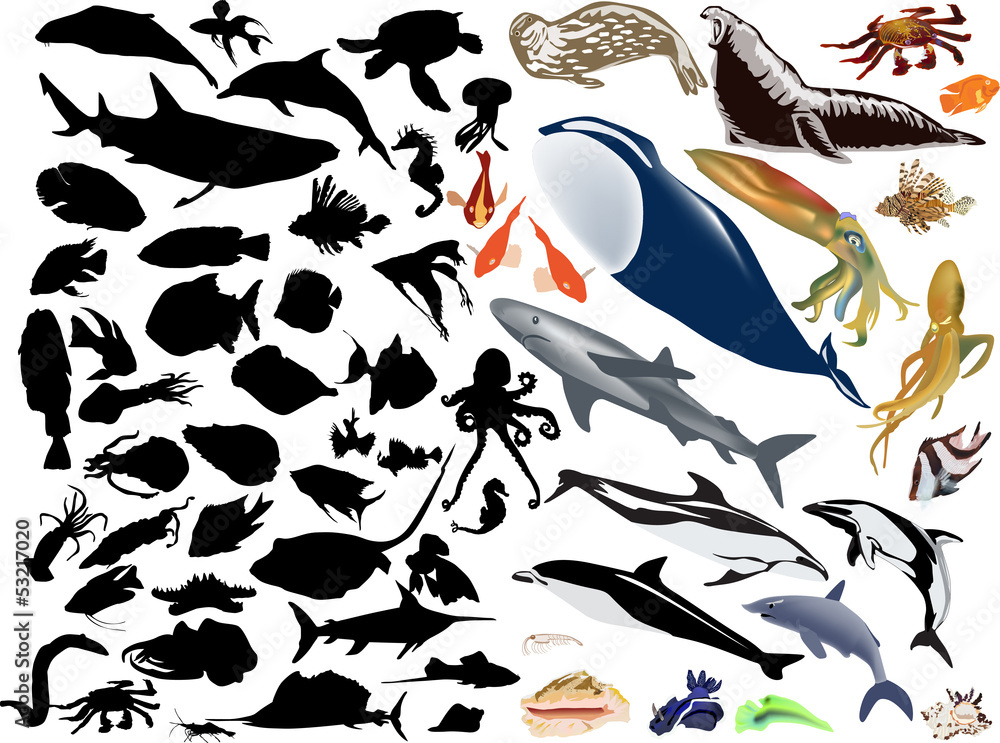 large collection of sea animals Stock Vector | Adobe Stock