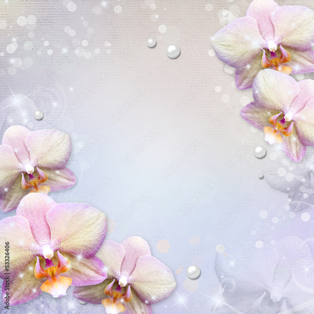 orchids border Stock Illustration | Adobe Stock