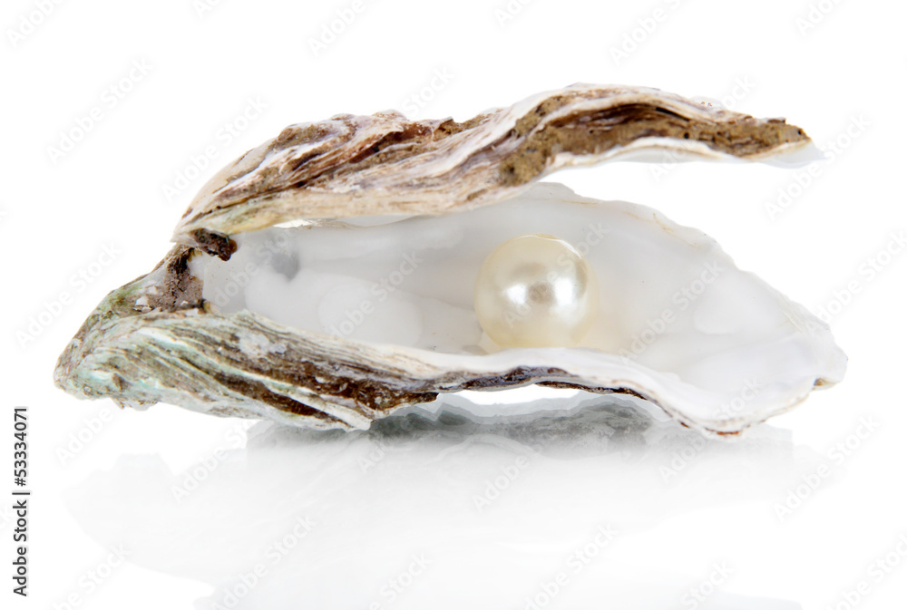 Open oyster with pearl isolated on white Stock Photo | Adobe Stock