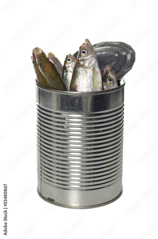 fresh fishes in tin Stock Photo | Adobe Stock
