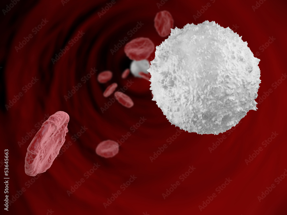 White blood cell Stock Photo | Adobe Stock