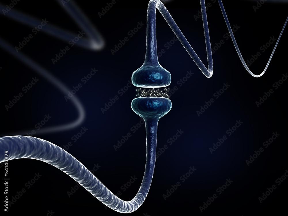 Synapse Stock Photo | Adobe Stock