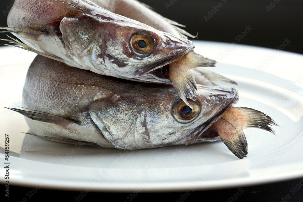 Merluchon, poisson, pêche, animal, frais, fraîcheur, cru Stock Photo ...