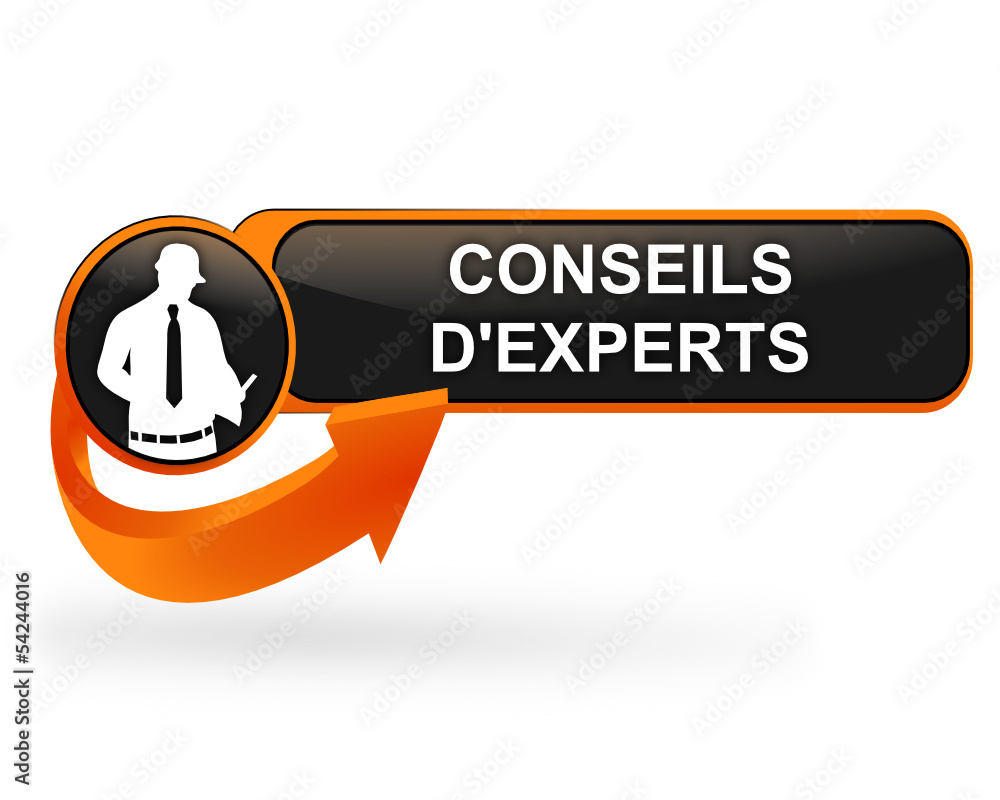conseils d'experts sur bouton web design orange Stock Vector | Adobe Stock