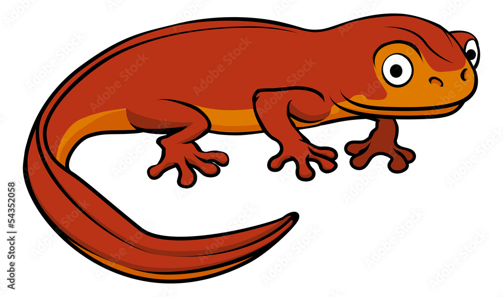 Cartoon Newt Stock Vector | Adobe Stock