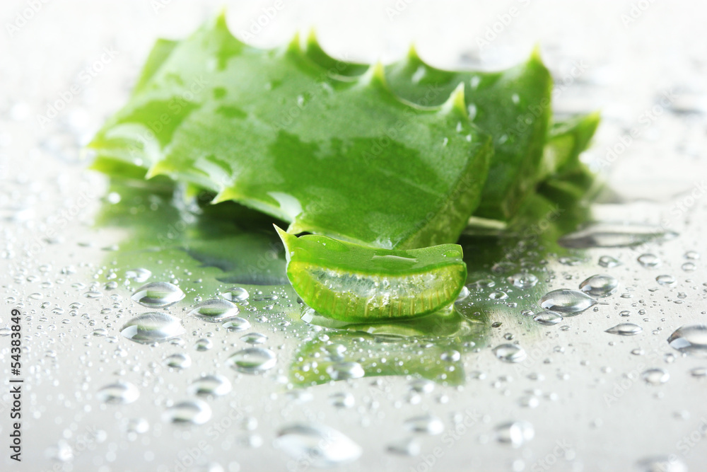 Close up of aloe leaves with drops Stock Photo | Adobe Stock