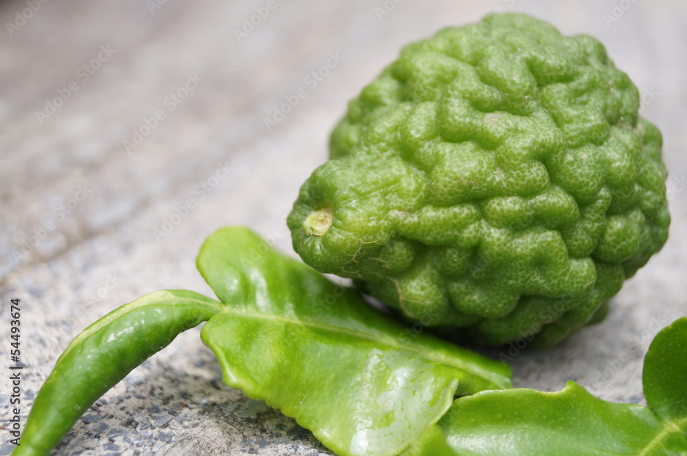 Leech lime Stock Photo | Adobe Stock