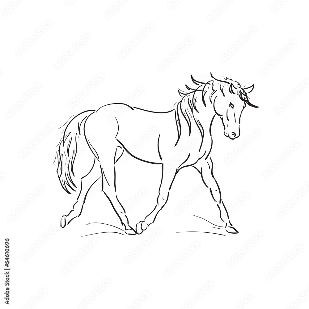 running horse vector outline Stock Vector | Adobe Stock