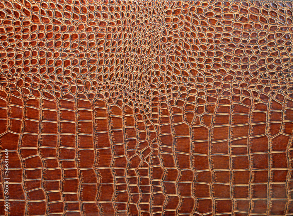 Crocodile skin texture background. Stock Photo | Adobe Stock