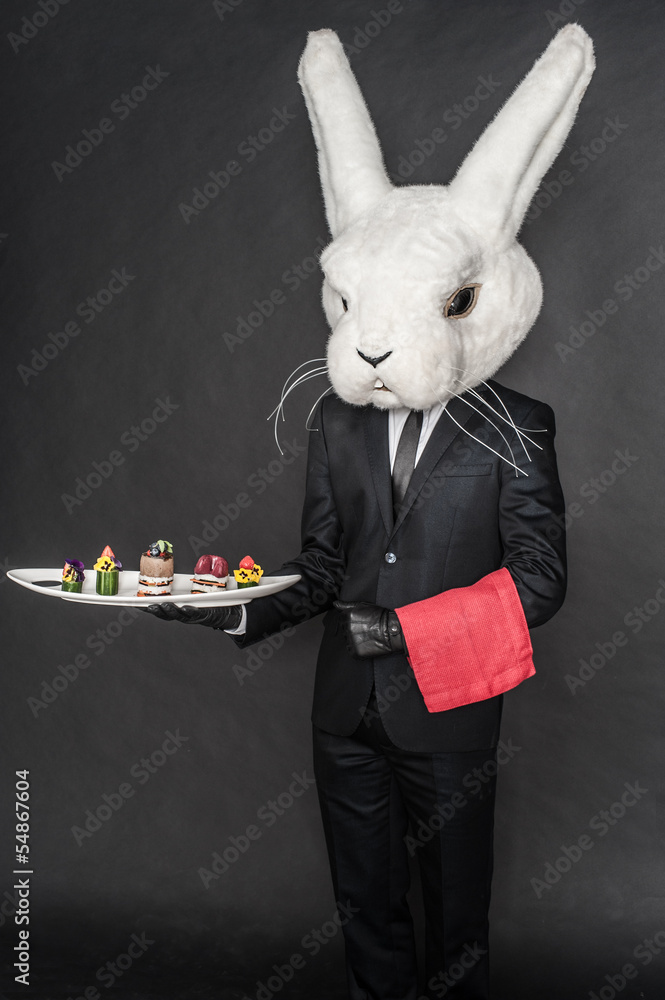 Rabbit waiter man in black suit stay at dark gray background Stock ...