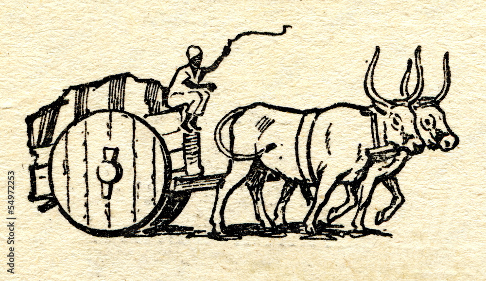 Bullock Cart
