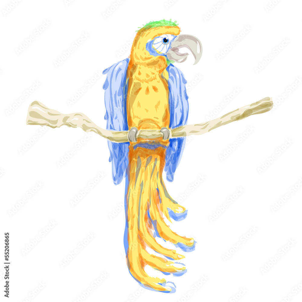 Parrot Stock Vector | Adobe Stock