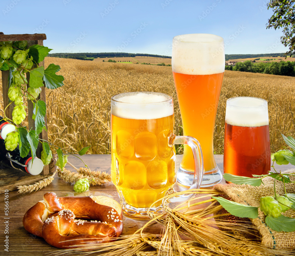 verschiedene Biersorten Stock-Foto | Adobe Stock