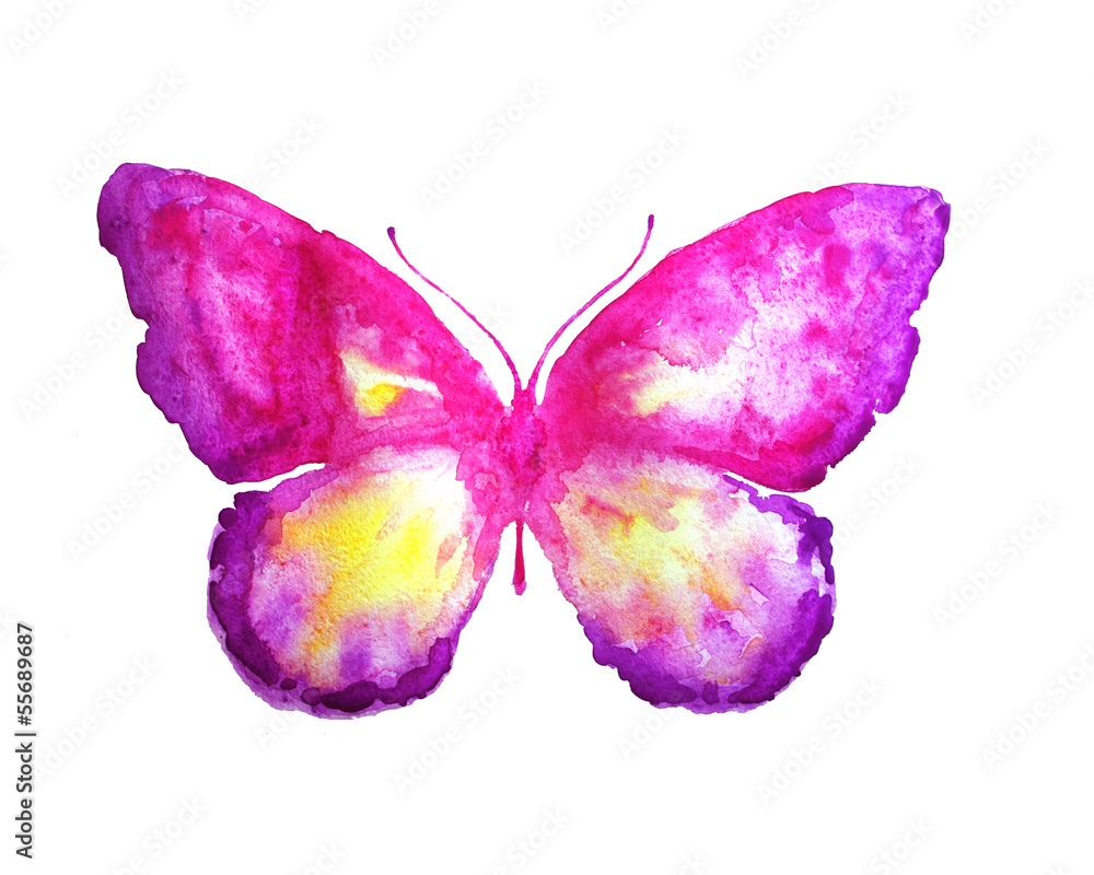 butterfly,watercolor design Stock Illustration | Adobe Stock