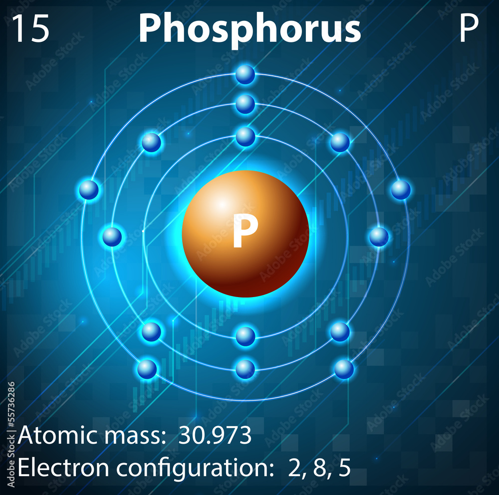 Phosphorus Model
