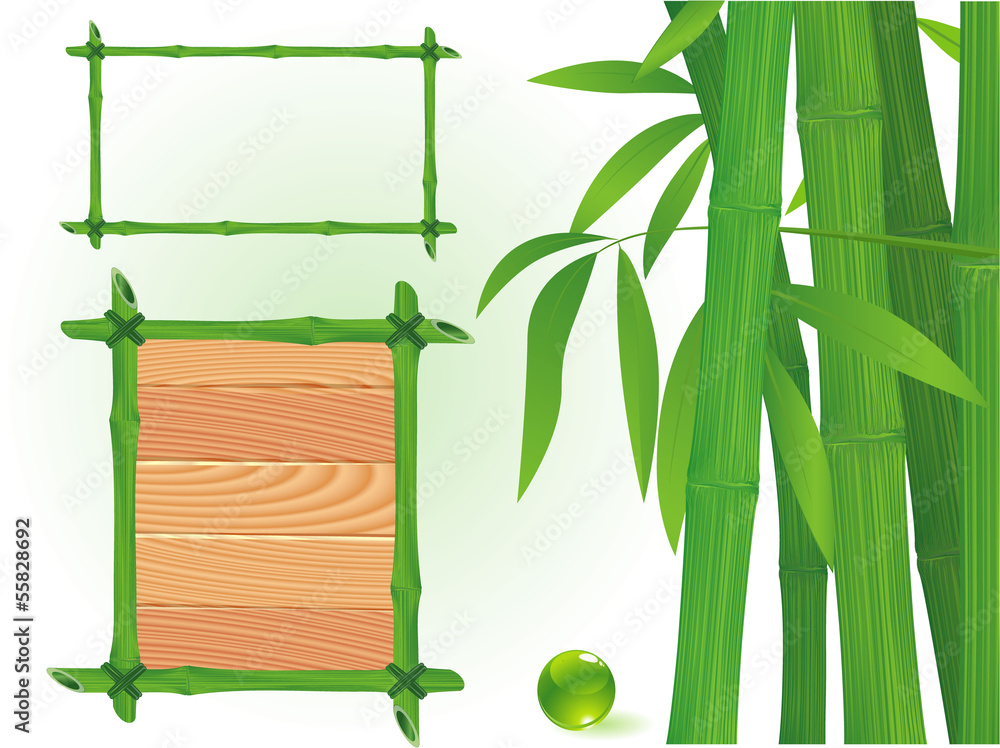 Bamboo frames. Vector. Stock Vector | Adobe Stock