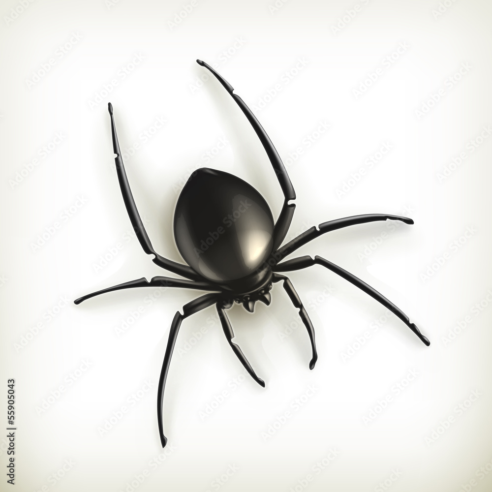 Spider Stock Vector | Adobe Stock