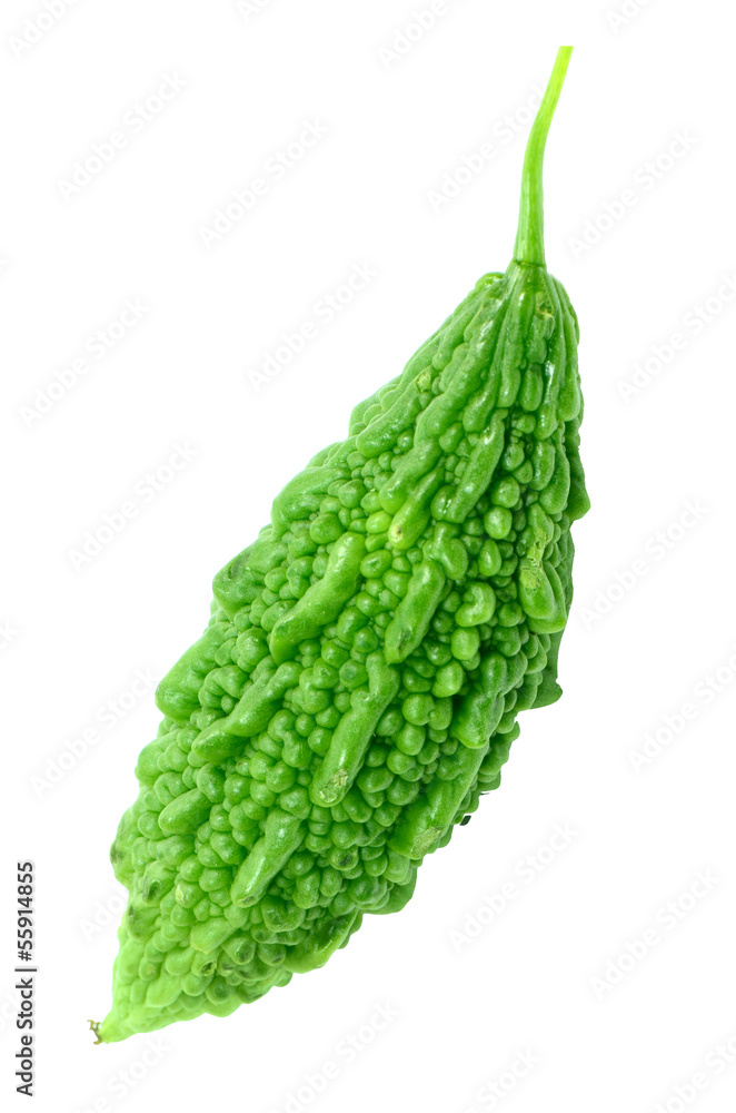 Balsam apple, Balsam pear, Bitter cucumber or Bitter gourd herb ...