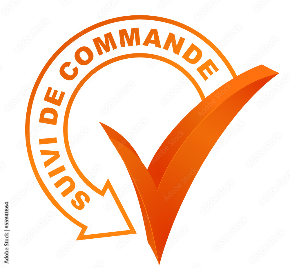 suivi de commande sur symbole validé orange Stock Vector | Adobe Stock
