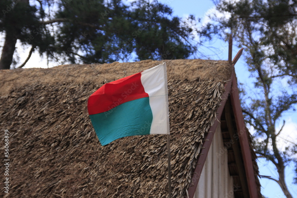 Foto de drapeau malgache do Stock | Adobe Stock