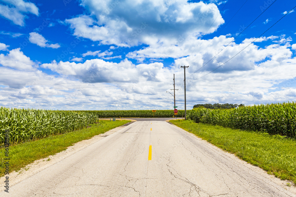 Country Road Side View