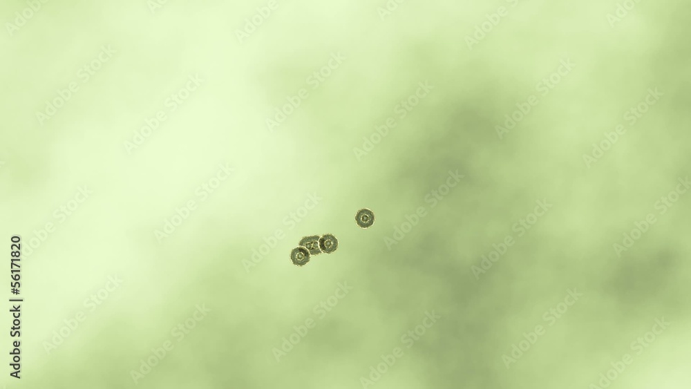 Looped division of cells, fission, exponential increase, geometric ...