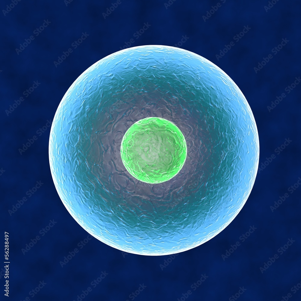 Cellula nucleo corpo umano Stock Photo | Adobe Stock