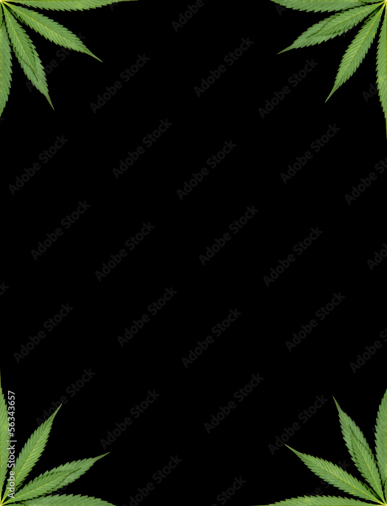 marijuana frame with black background Stock Photo | Adobe Stock