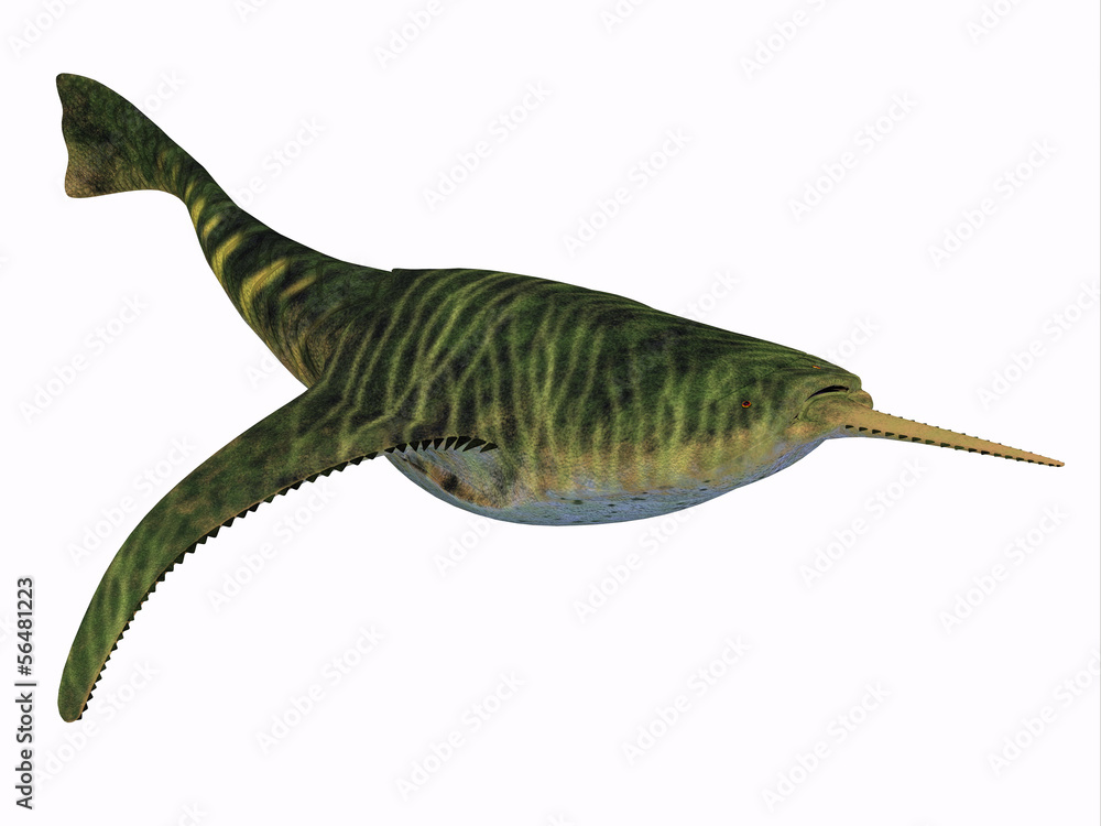 Doryaspis Fish on White Stock Illustration | Adobe Stock