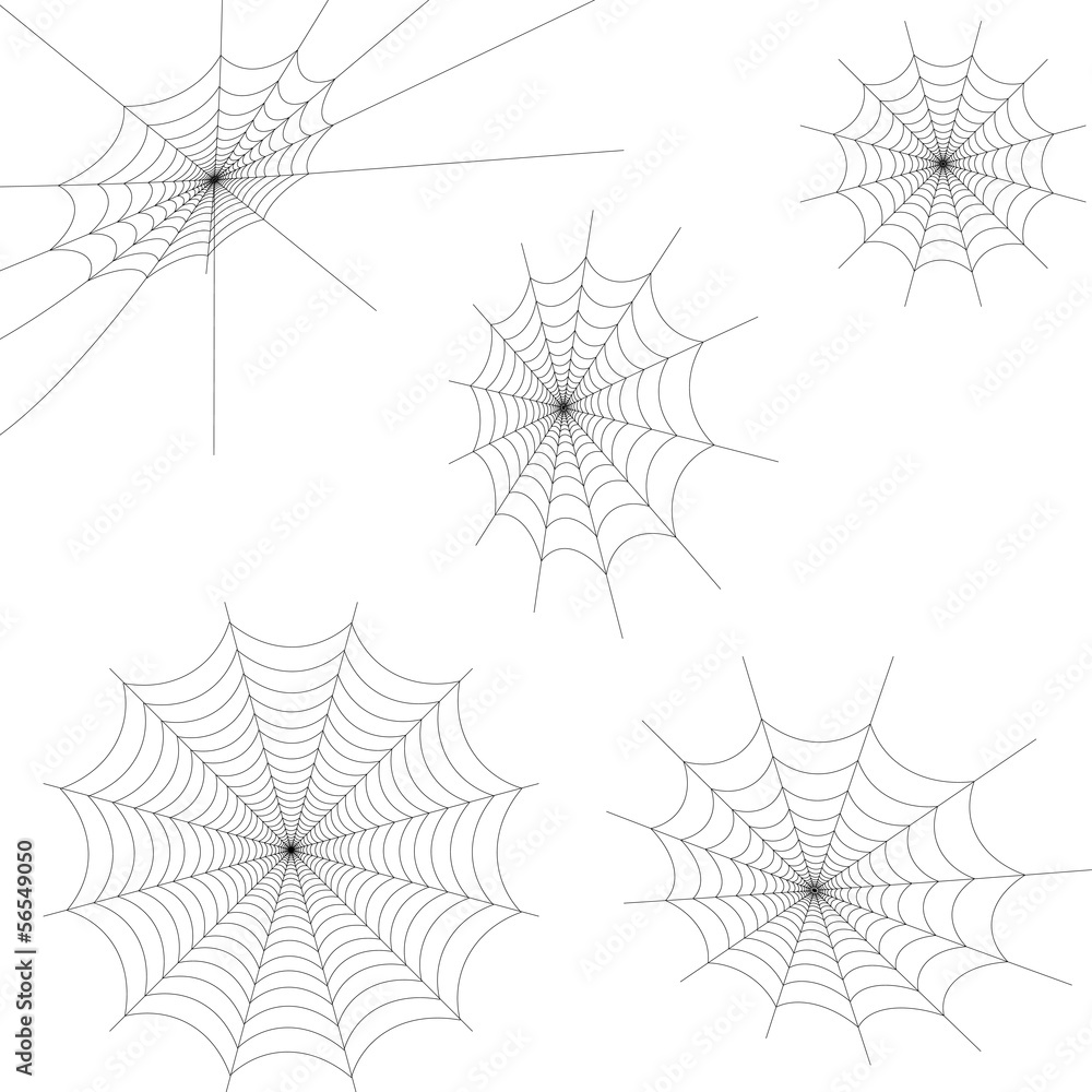 Set Spinnennetz Spinne Netz Stock-Vektorgrafik | Adobe Stock