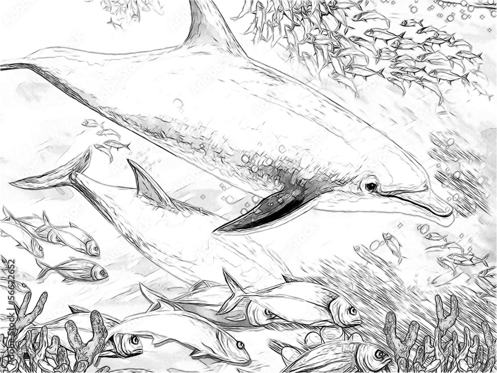 Coral Reef Coloring Pages