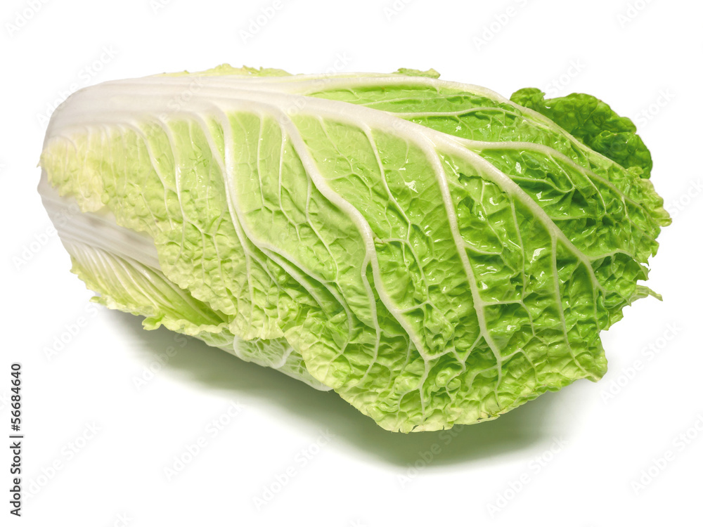 Chinakohl Stock-Foto | Adobe Stock