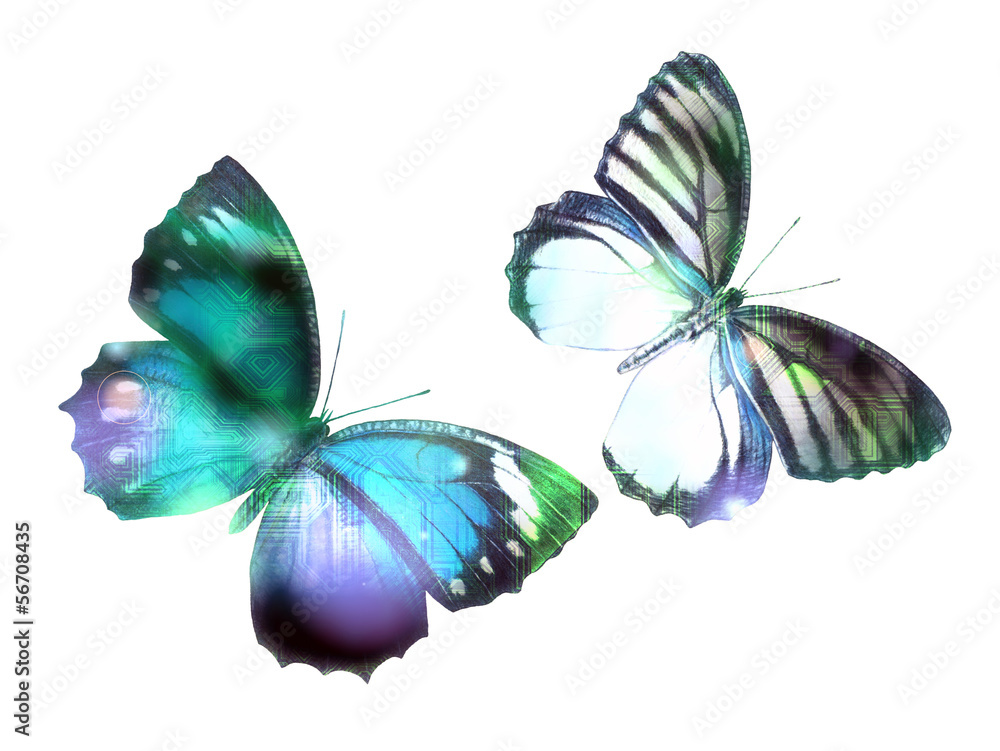 butterfly graphic Stock Illustration | Adobe Stock
