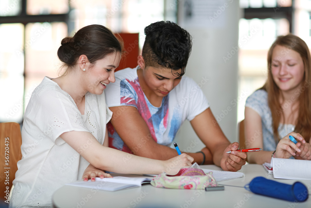 Schüler beim Lernen Stock-Foto | Adobe Stock