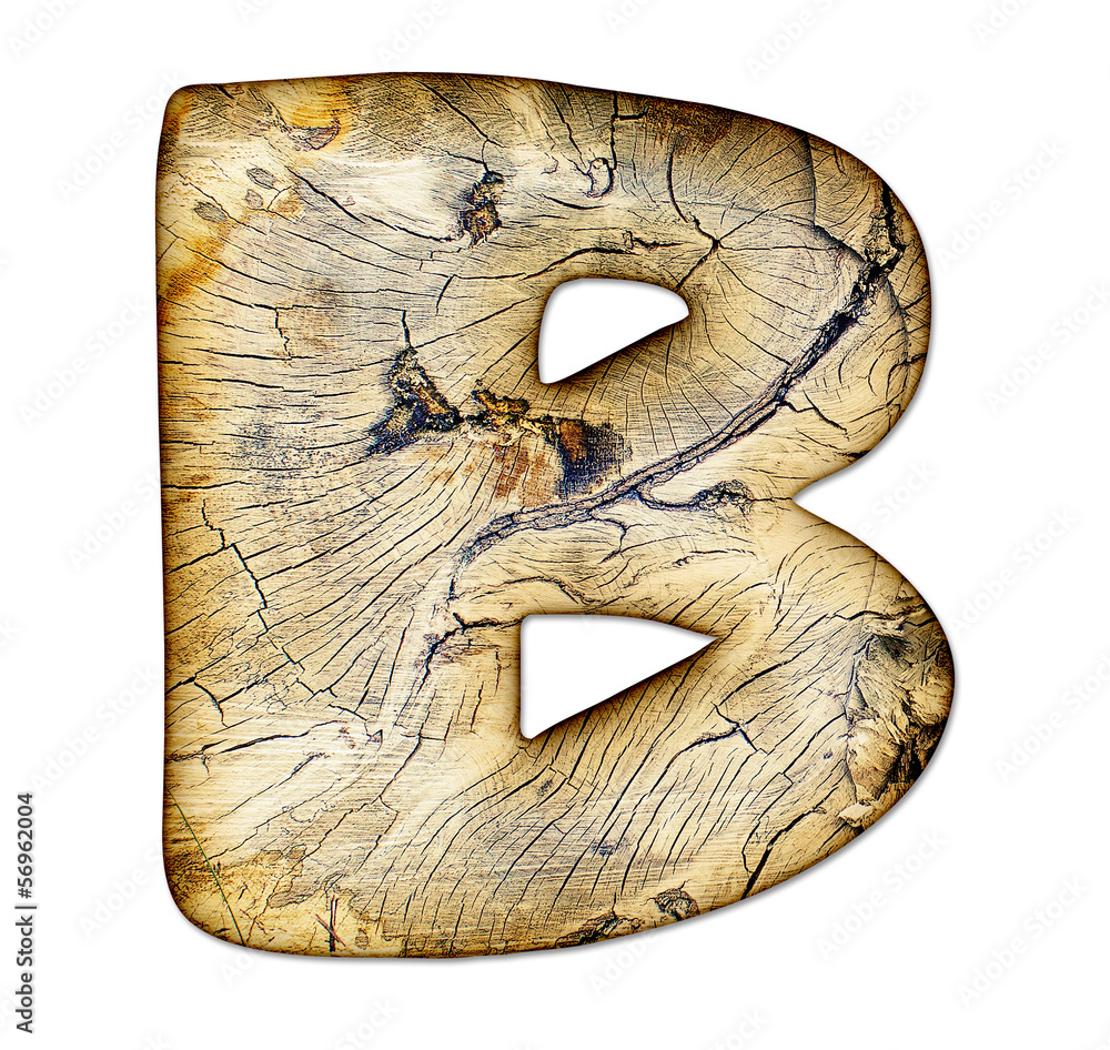 Wood textured alphabet - letter B, isolated with a clipping path Stock ...